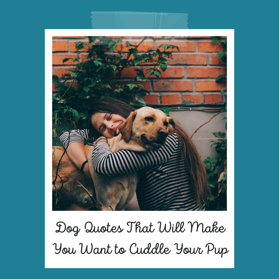 Dog Quotes That Will Make You Want to Cuddle Your Pup | Barker Beds