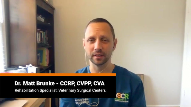 Dr. Matt Brunke Speaks on UPenn / Big Barker Clinical Study Results ...