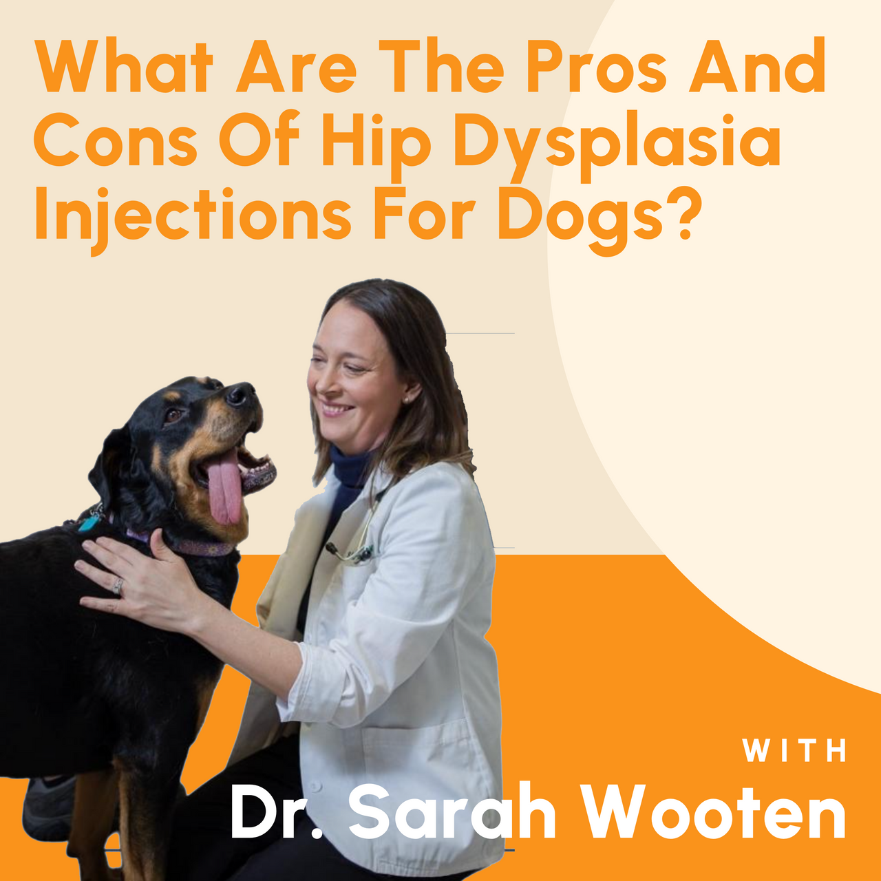 What Are The Pros And Cons Of Hip Dysplasia Injections For Dogs ...