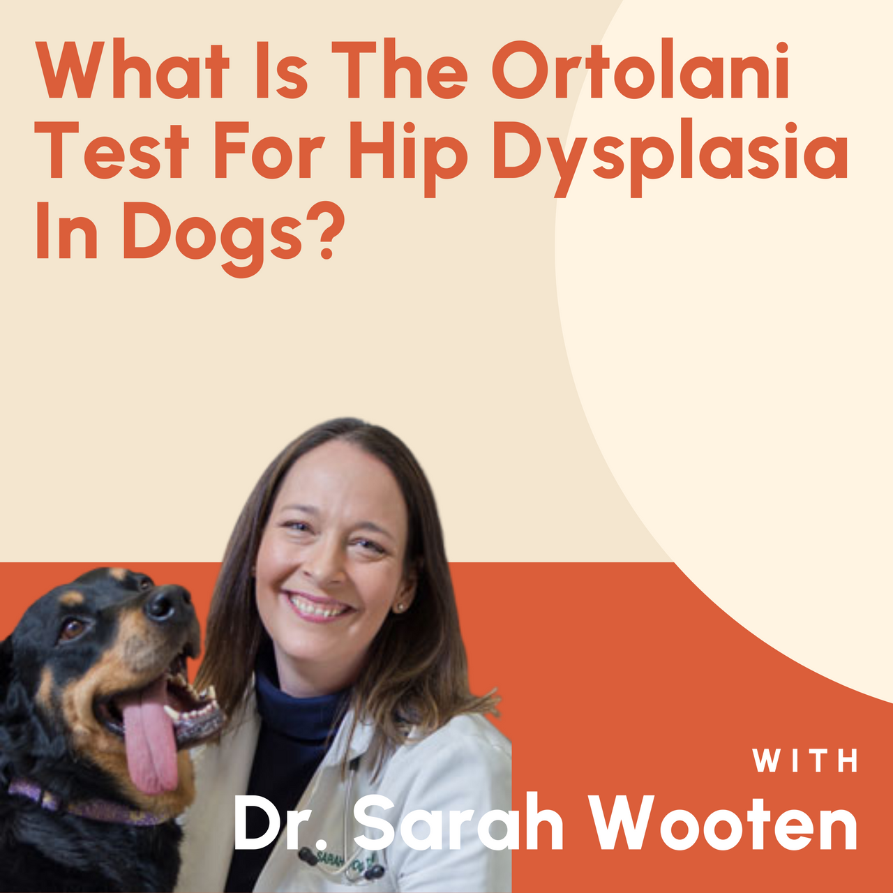 What Is The Ortolani Test For Hip Dysplasia In Dogs? | Barker Beds