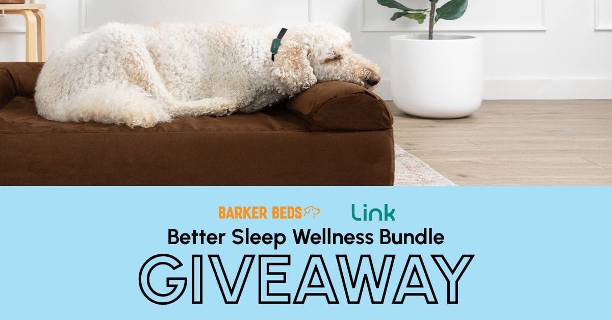 Better Sleep Sweepstakes with @the_goldendonut | Barker Beds