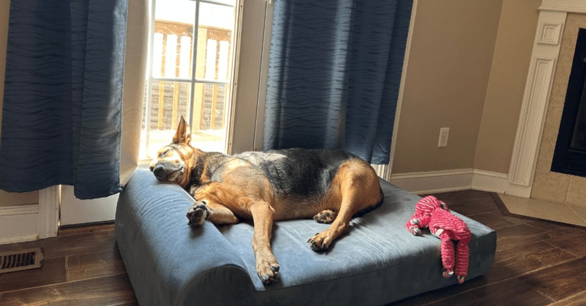 Athena & Jackson | Customer Stories | Barker Beds