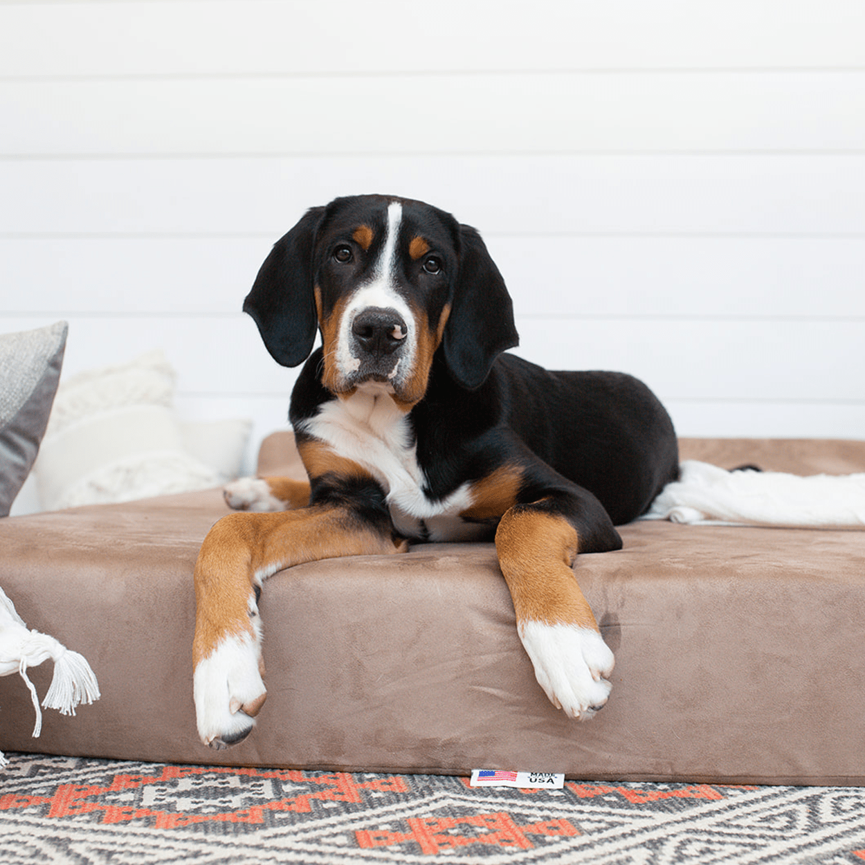 Barker Beds
