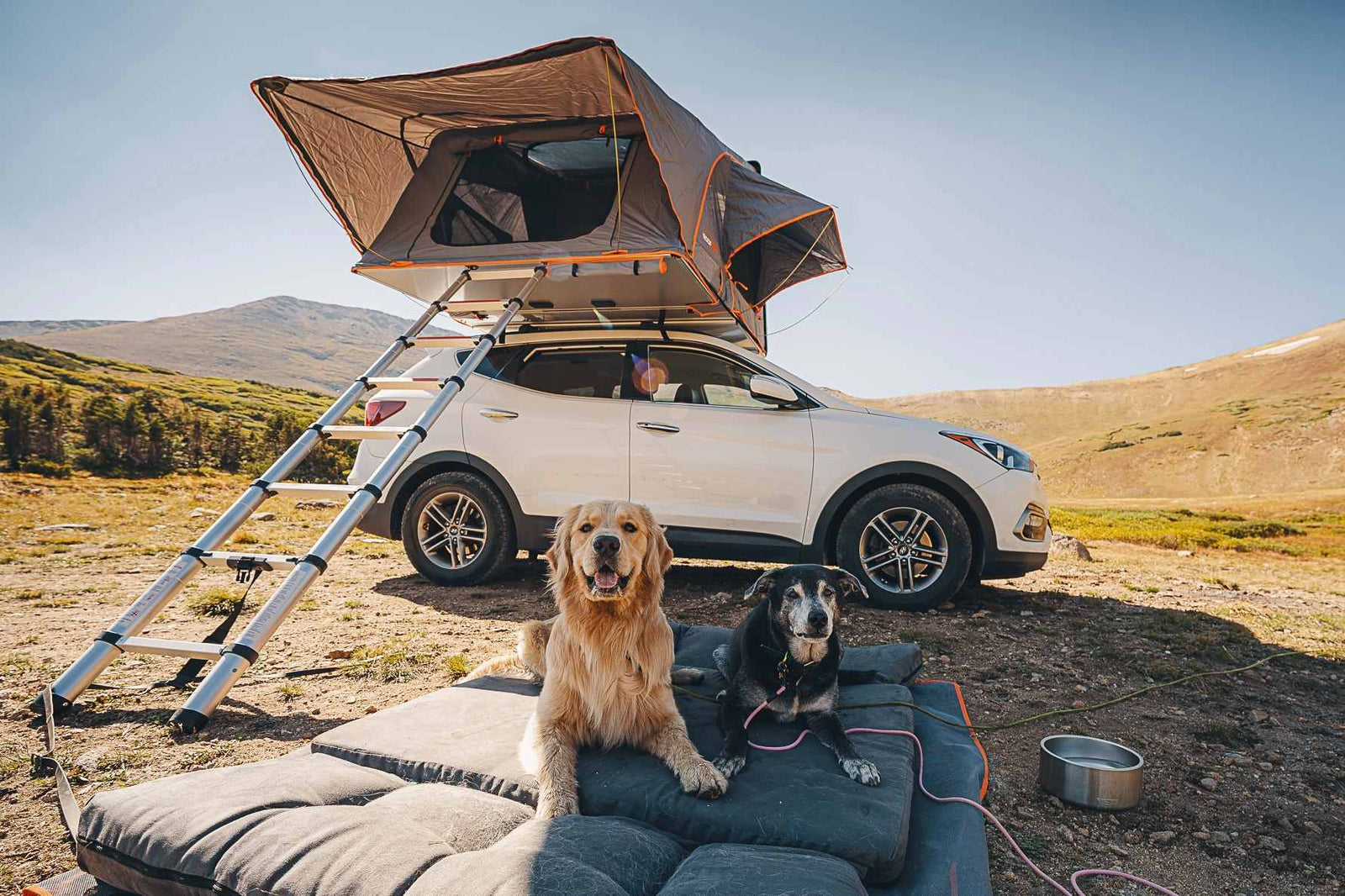 Backseat Barker - Dog Car Bed for SUV | Big Barker